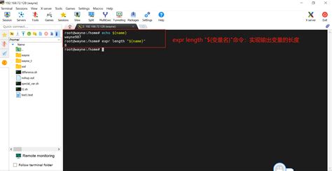 统计变量子串的长度 与太阳肩并肩 博客园