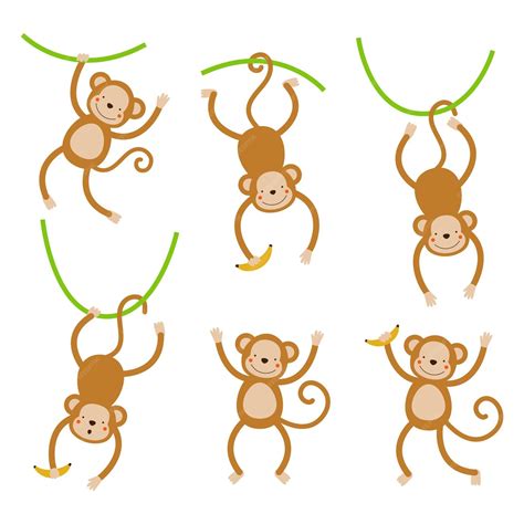 Un Conjunto Con Lindos Monos De Dibujos Animados Aislados En Un Fondo Blanco Ilustración