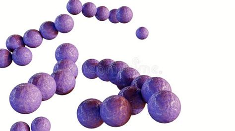 3d Rendering Of Streptococcus Bacterium Stock Illustration Illustration Of Micro Health