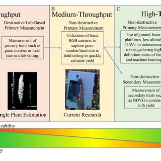 Estimation Of Yield And Yield Parameters Figure Illustrates The Download Scientific Diagram