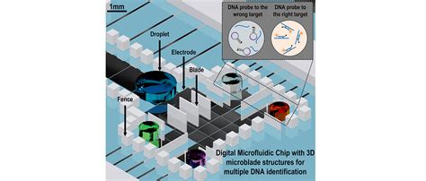 New Breakthrough In UMs Microchip Research Enables Quick DNA Testing For Prompt Diagnosis