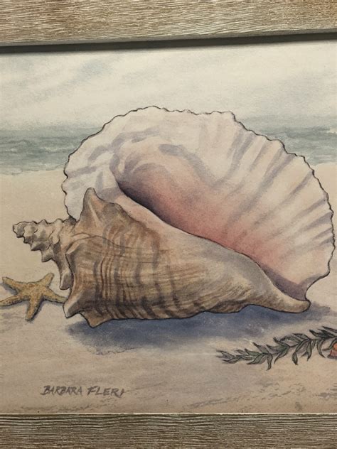 Barbara Fleri Seaside Beach Conch Seashells Framed Watercolor Print
