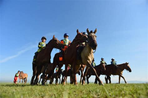 Г Чинзоригийн хар үрээ Төрийн их баяр наадмын соёолонгийн уралдаанд түрүүллээ Mn