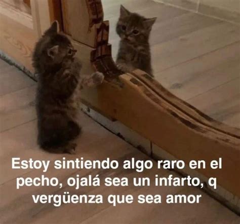 1 best u laesposadezhongli images on pholder gente de reddit ¿como ha