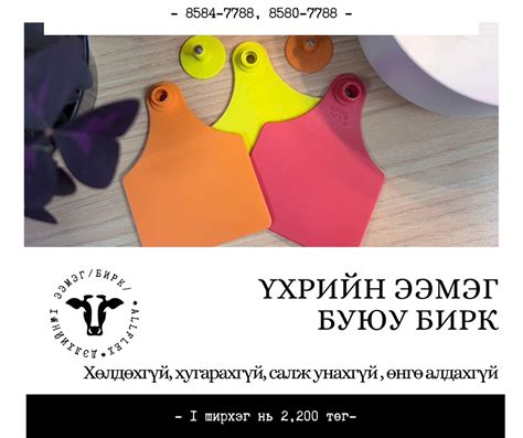 Мал 🐂Малын ширх гэж юу вэ 💎Малын ширх гэдэг нь малын арьсан дээр амьдардаг жижиг шимэгч