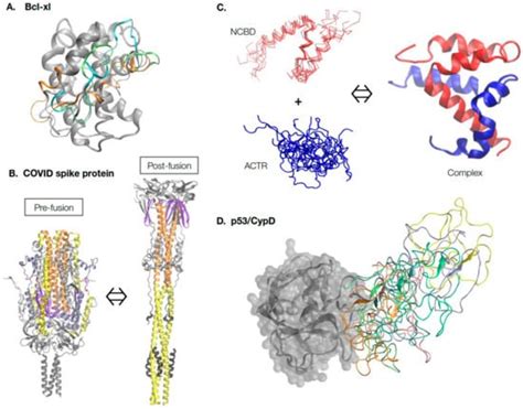 Molecules Free Full Text Machine Learning Generation Of Dynamic
