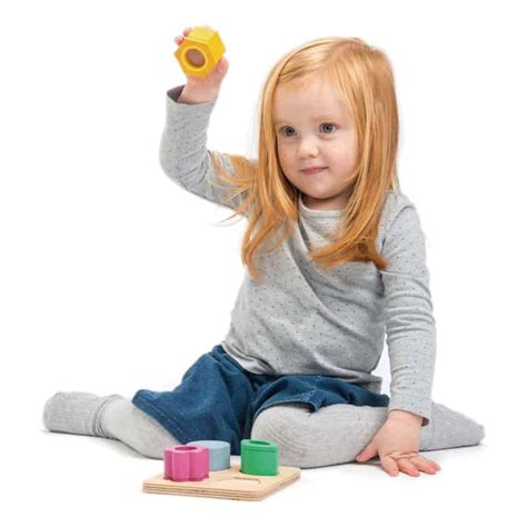 Visual Sensory Puzzle By Tender Leaf Toys