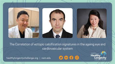 The Correlation Of Ectopic Calcification Signatures In The Ageing Eye And Cardiovascular System