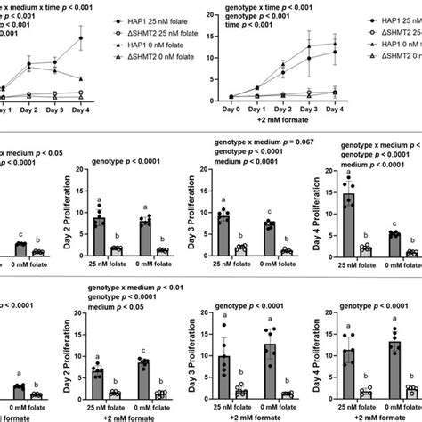 Protein Levels And Pyruvate Kinase Activity In Hap1 And Δshmt2 Cells