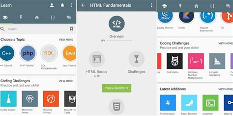 [app Fridays] Coding Is The Future And Sololearn Helps You Crack This Code Yourstory