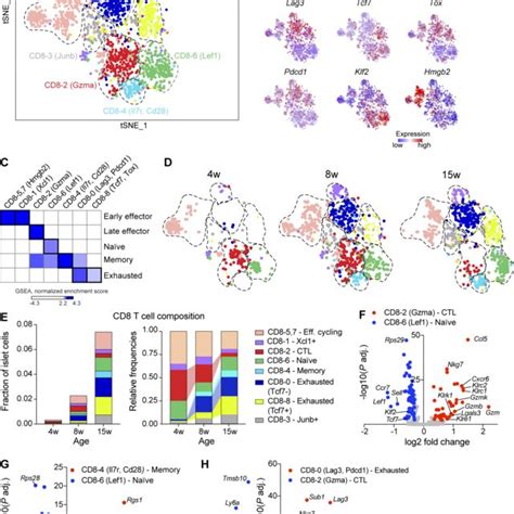 Cd8 T Cells Exhibited Extensive Function Related Heterogeneity Starting Download Scientific
