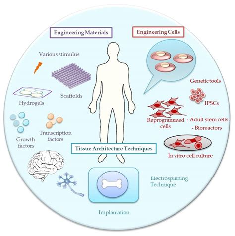 Materials Mdpi On Twitter 💖 Highlyviewed 👉 Title Hydrogel