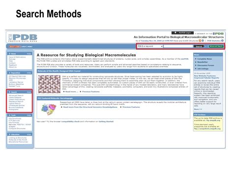PPT Protein Structure PowerPoint Presentation Free Download ID