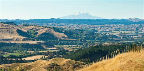 Panel Appointed For Independent Review Of Biogenic Methane Science And Target Ministry For The