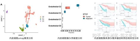 组织外泌体 单细胞解析肿瘤组织微环境最新研究成果见刊 知乎