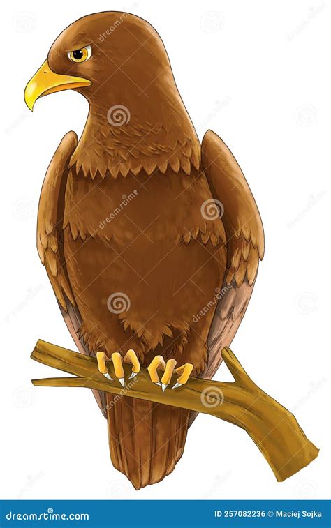 Cartoon Exotic Colorful Bird Flying Isolated Illustration Stock Illustration Illustration Of