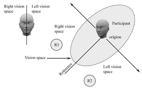 Division Of Visual Space Of A Participant Download Scientific Diagram