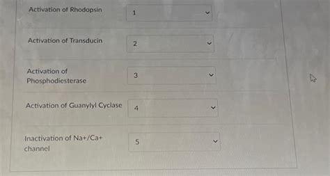 Solved Match The Photon Detection Event With Its Stage In