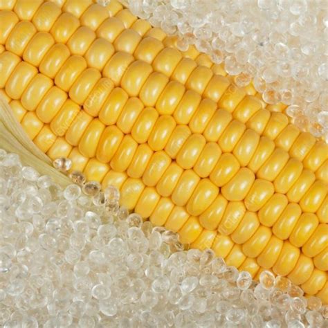 Layanan Eco Proses Indonesia