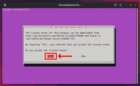 How To Install Sql Server And Sql Server Cli Tools On Ubuntu