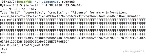 Seed Labs Rsa Public Key Encryption And Signature Lab Csdn博客
