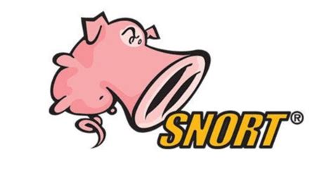 How To Use Snort For Intrusion Detection Hackblue