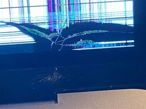 Laggy Choppy Safari Resizing How Can I Fix This Rmacos