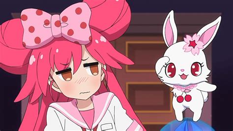 레이디 쥬얼펫 드디어 첫 감상 네이버 블로그