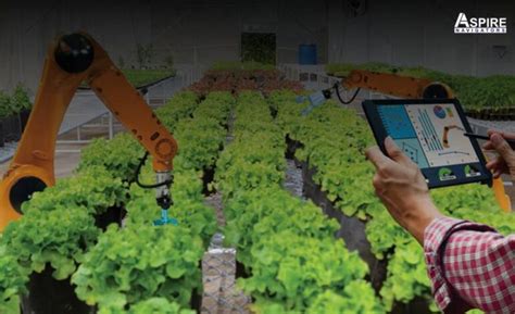 How AI Is Being Used By Indian Farmers To Boost Crop Yield Aspire Navigators