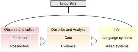 Transversing The Linguistic Bridge Humanities Center