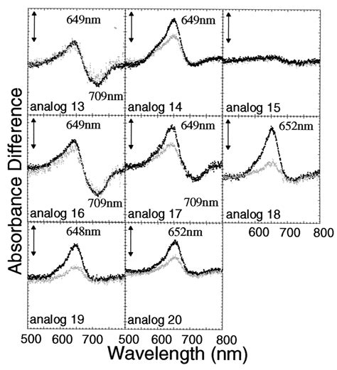 In Vitro Assembly Of Phytochrome B Apoprotein With Synthetic Analogs Of
