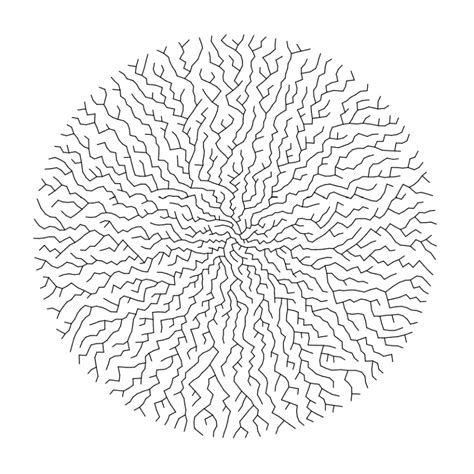 Roots Pattern Craftsmanspace