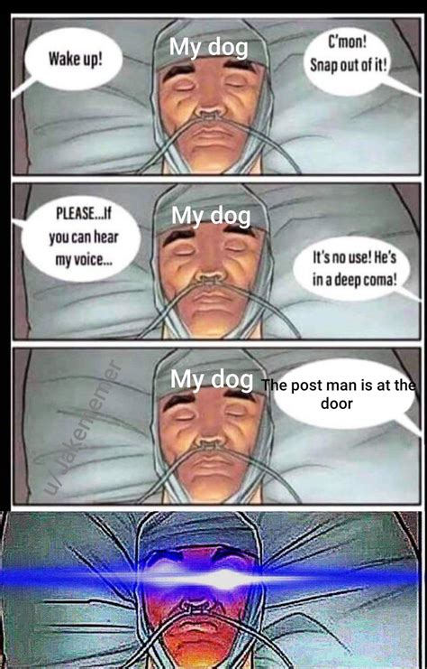 Whomst Has Awakened The Ancient One Rmemes