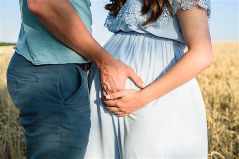 낭만적인 임신 부부 포옹과 밀에 배를 잡고 자연 속에서 편안 하 게 그녀의 남편과 함께 아름 다운 화창한 날에 서 임신한 여자 가족에 대한 스톡 사진 및 기타 이미지