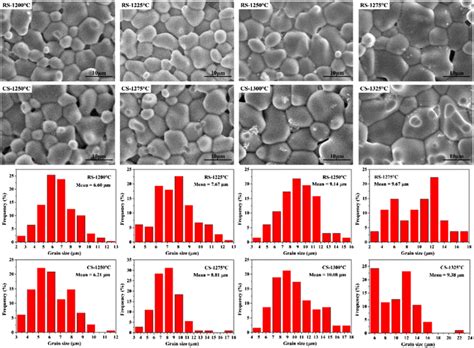 Sem Micrographs And Grain Size Distributions Of Li2mg3tio6 Ceramics Download Scientific Diagram