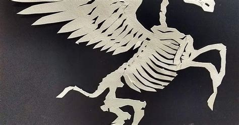 Skelecton Album On Imgur