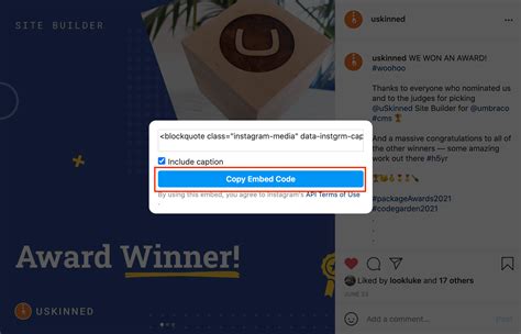 How To Display Instagram Posts USkinned Site Builder For Umbraco CMS