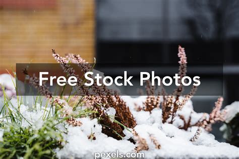Grass Cold Temperature Background Photos Download The Best Free Grass