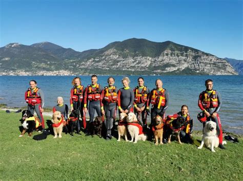 Esercitazione Ucis Salvataggi In Acqua Per I Cani Della Sogit Giornale Di Brescia