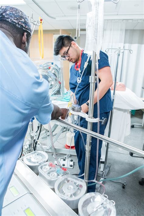 Cardiovascular Perfusion Cardiovascular Perfusion