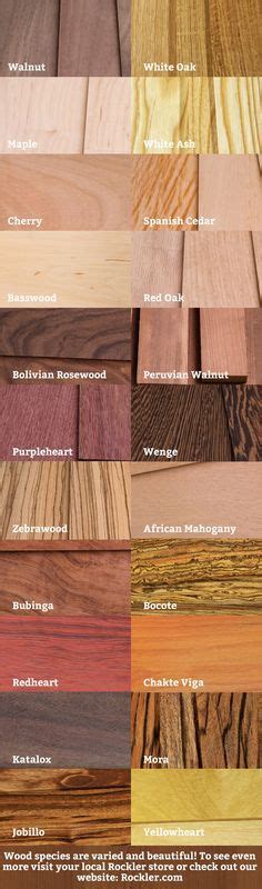 Wood Species Ideas Wood Species Wood Types Of Wood