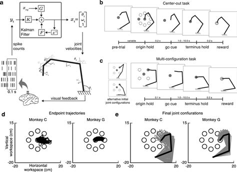 Figure 1 From Control Of Redundant Kinematic Degrees Of Freedom In A Closed Loop Brain Machine