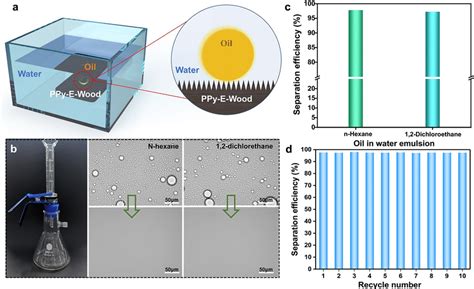 A Schematic Diagram Of The Wetting State Of Oil Droplet On Ppy E Wood Download Scientific