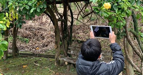 coderdojo名護に参加して⑩｜coderdojo名護 coderdojo coderdojo 恩納 oist
