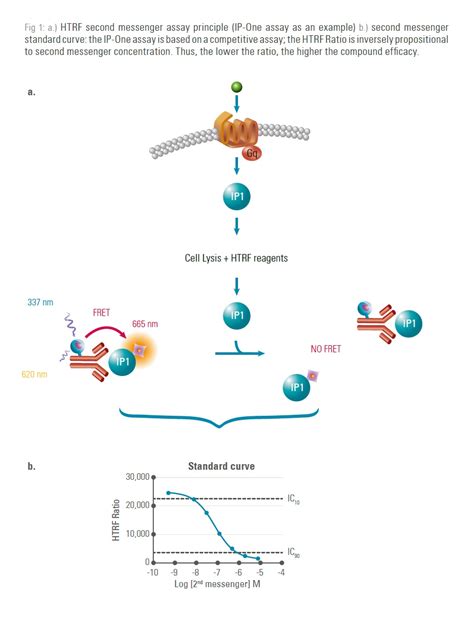 Guidelines And Recommendations For Analyzing And Interpreting Gpcr Second