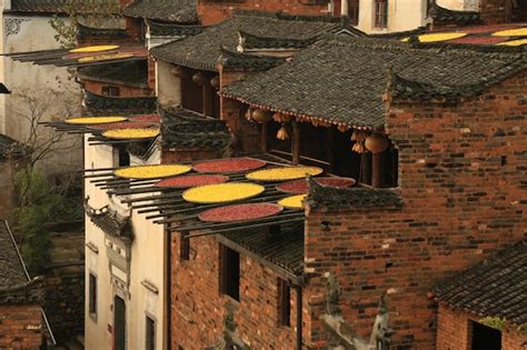 Premium Photo Multi Colored Built Structure