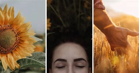 What Is Introverted Sensing 10 Signs That You Might Be An Introverted