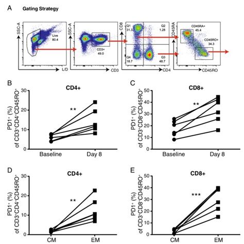 Effector Effector Memory T Cells From Human T Cells Undergoing IL Download Scientific Diagram