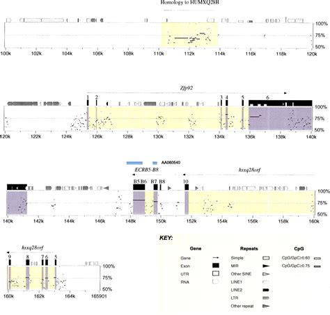 Comparative Genome Sequence Analysis Of The Bpa Str Region In Mouse And Man