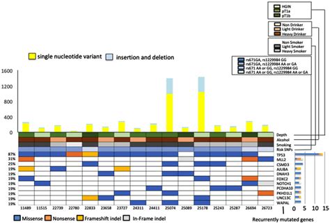 Representative Exonic Somatic Mutations In 16 Early Stage Esophageal